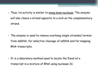 S1 Nuclease Mapping | PPTX