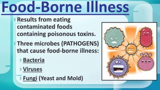 Food-Borne Illness and Food Safety | PDF
