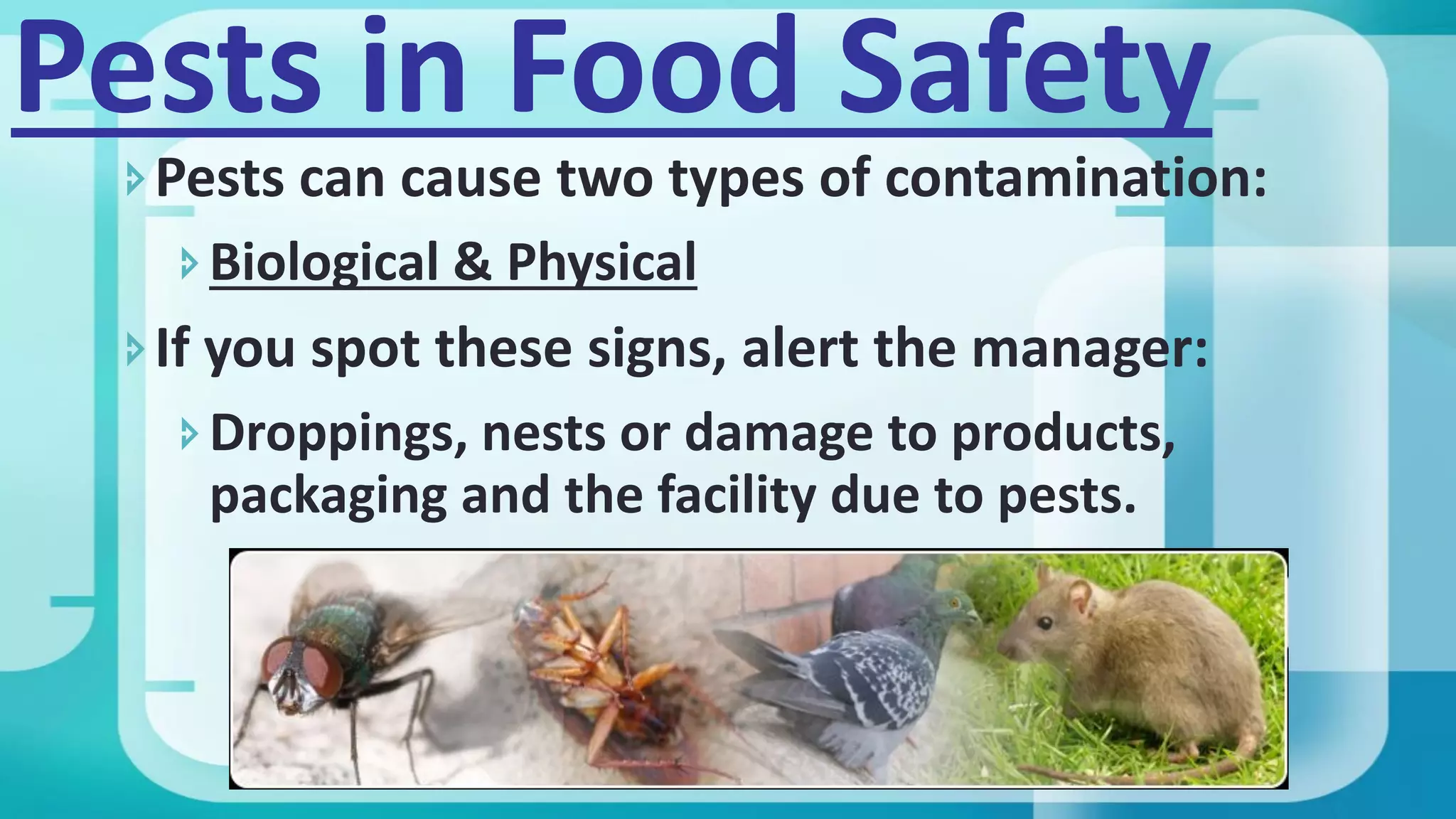 Food Safety & Foodborne Illness | PDF