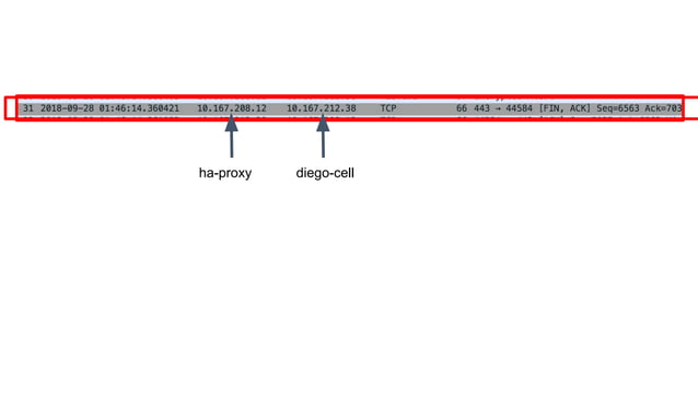 Debugging the Cloud Foundry Routing Tier | PPT