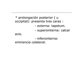 S[1].Ventricular | PPT
