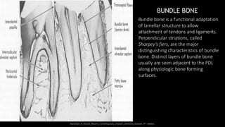 PHYSIOLOGY OF BONE AND ITS PROSTHODONTIC IMPLICATIONS | PPTX