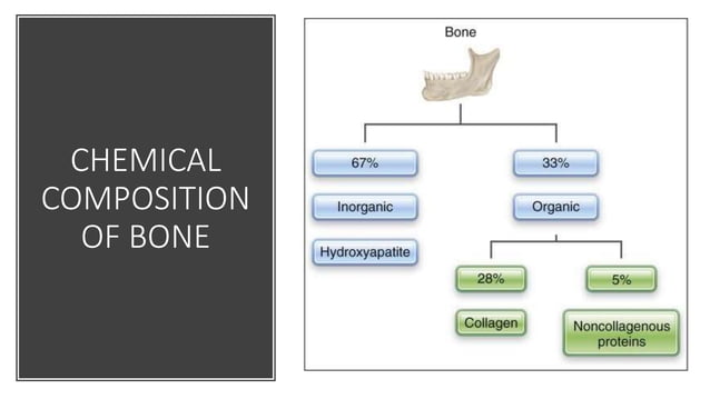 PHYSIOLOGY OF BONE AND ITS PROSTHODONTIC IMPLICATIONS | PPTX | Bone and ...