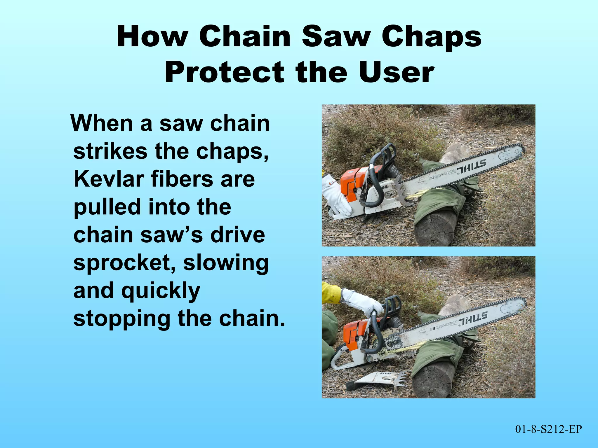 Green Industry Continuing Education Series August 2013: Chainsaw Safety ...