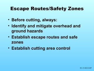 Green Industry Continuing Education Series August 2013: Chainsaw Safety ...