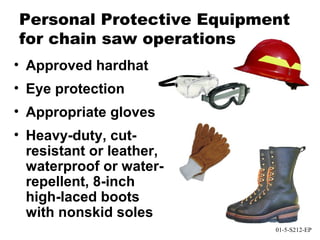 Green Industry Continuing Education Series August 2013: Chainsaw Safety ...