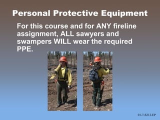 Green Industry Continuing Education Series August 2013: Chainsaw Safety ...