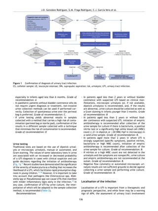 Update of the spanish clinical práctica guideline for urinary tract ...