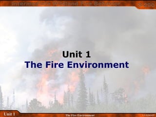 S290 Unit 1 | PPT