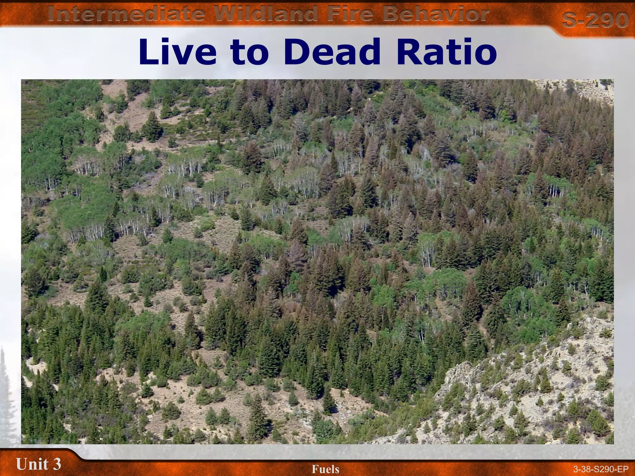 S290 Unit 3 | PPT | Science