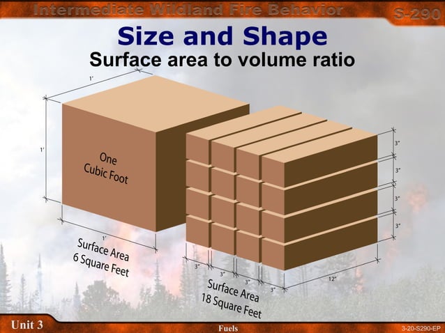S290 Unit 3 | PPT | Science