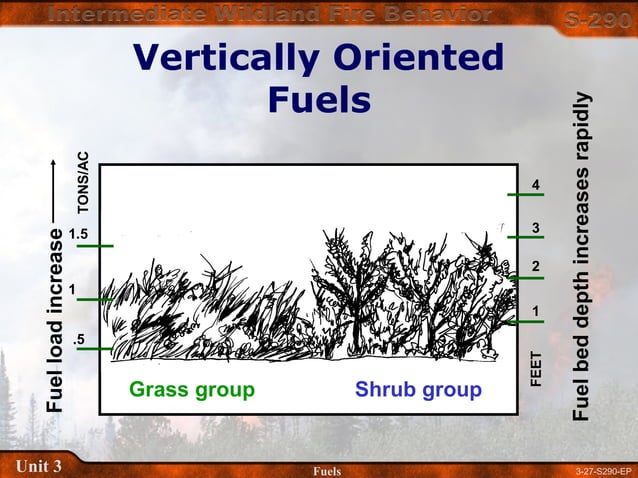 S290 Unit 3 | PPT | Science
