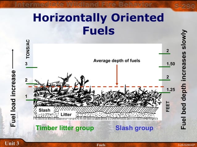S290 Unit 3 | PPT | Science
