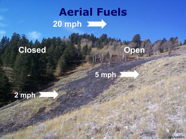 S290 Unit 3 | PPT | Science