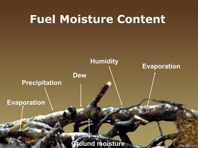 S290 Unit 3 | PPT | Science