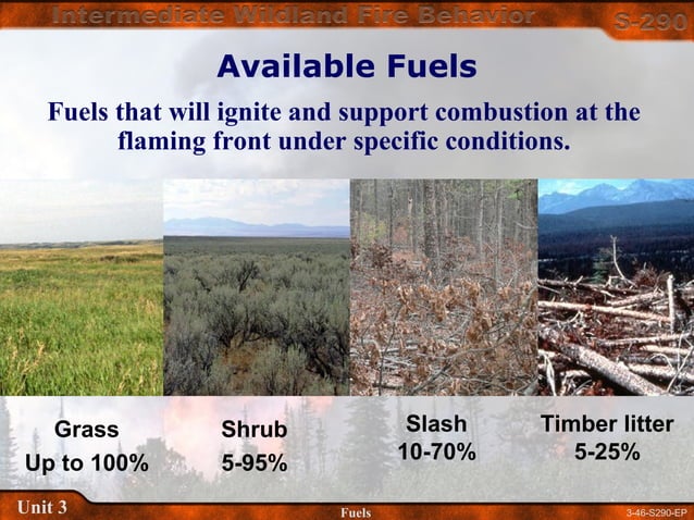 S290 Unit 3 | PPT | Science