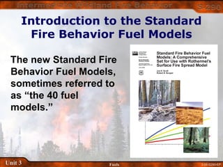S290 Unit 3 | PPT