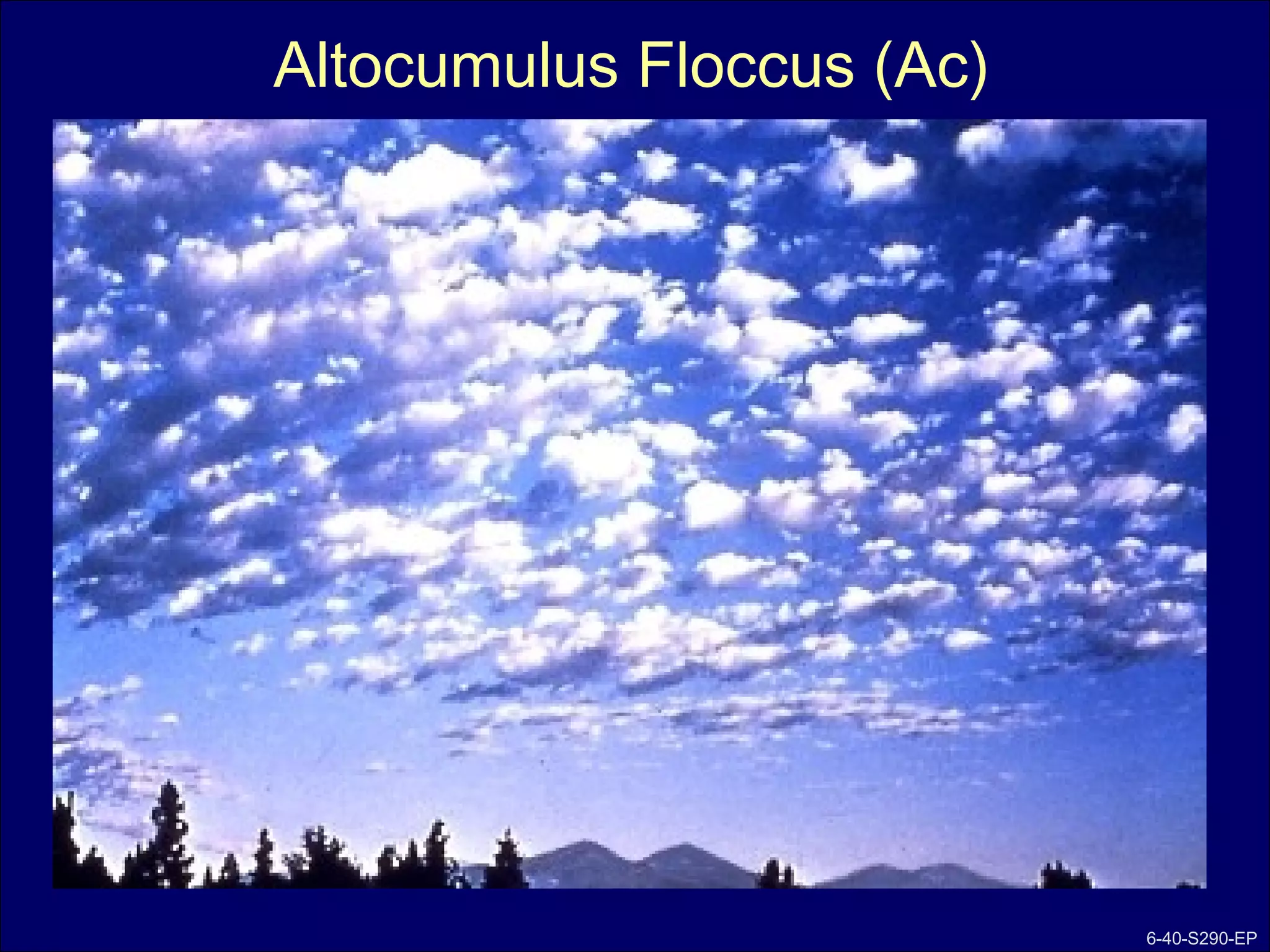 S290 Unit 6 part 2 | PPT