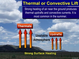 S290 Unit 6 part 2 | PPT