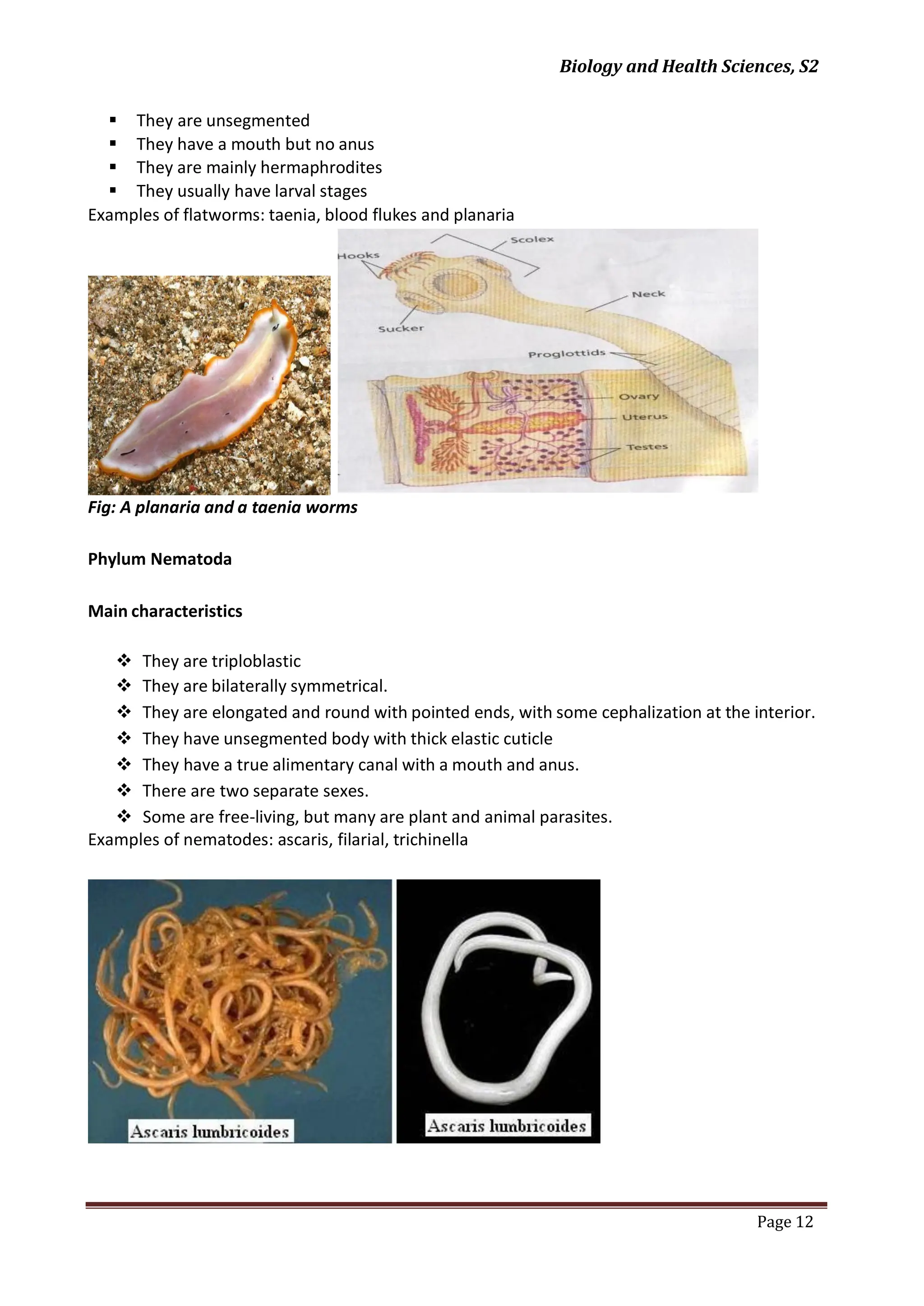 S 2 BIOLOGY NOTES-4.pdf