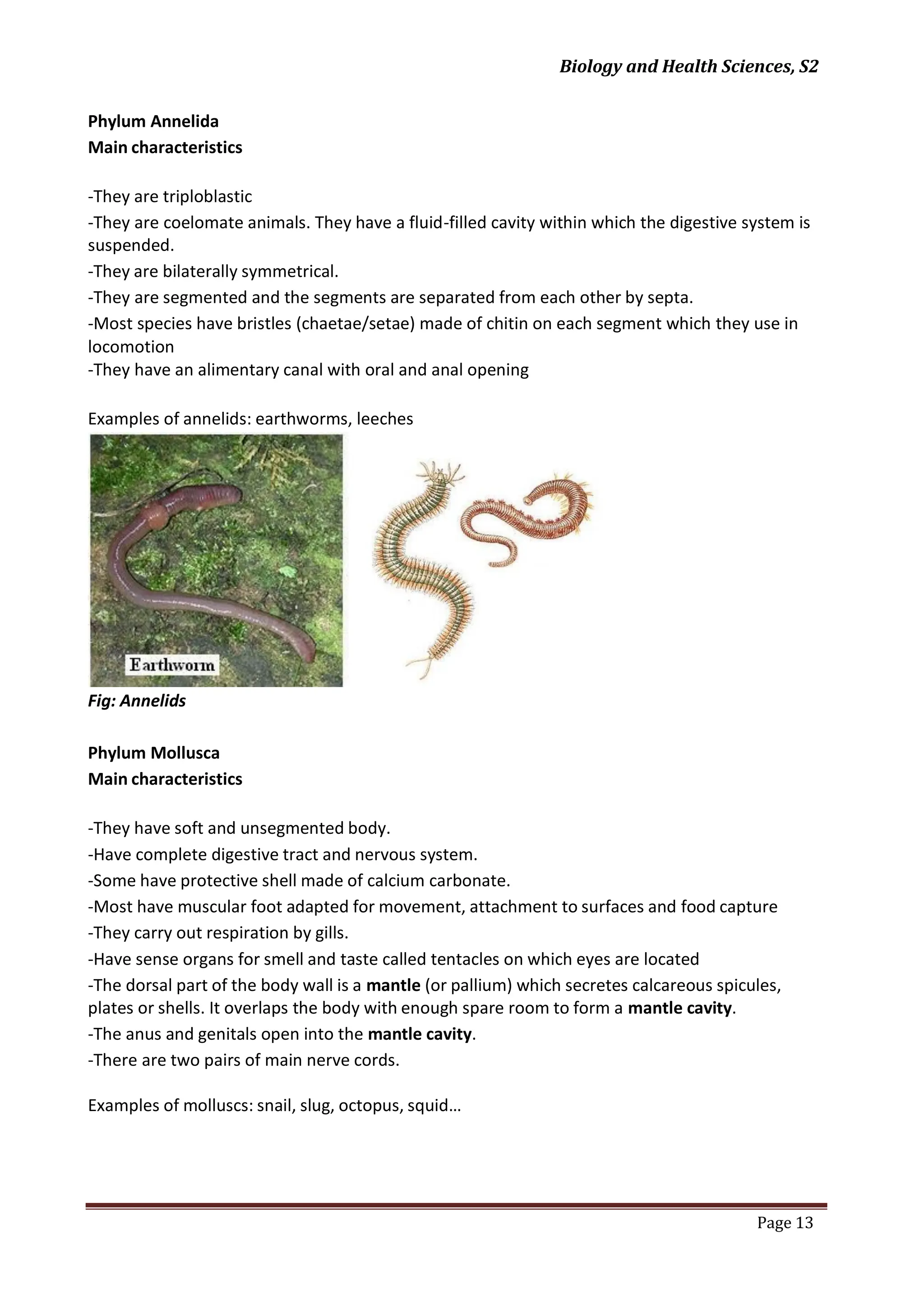 S 2 BIOLOGY NOTES-4.pdf