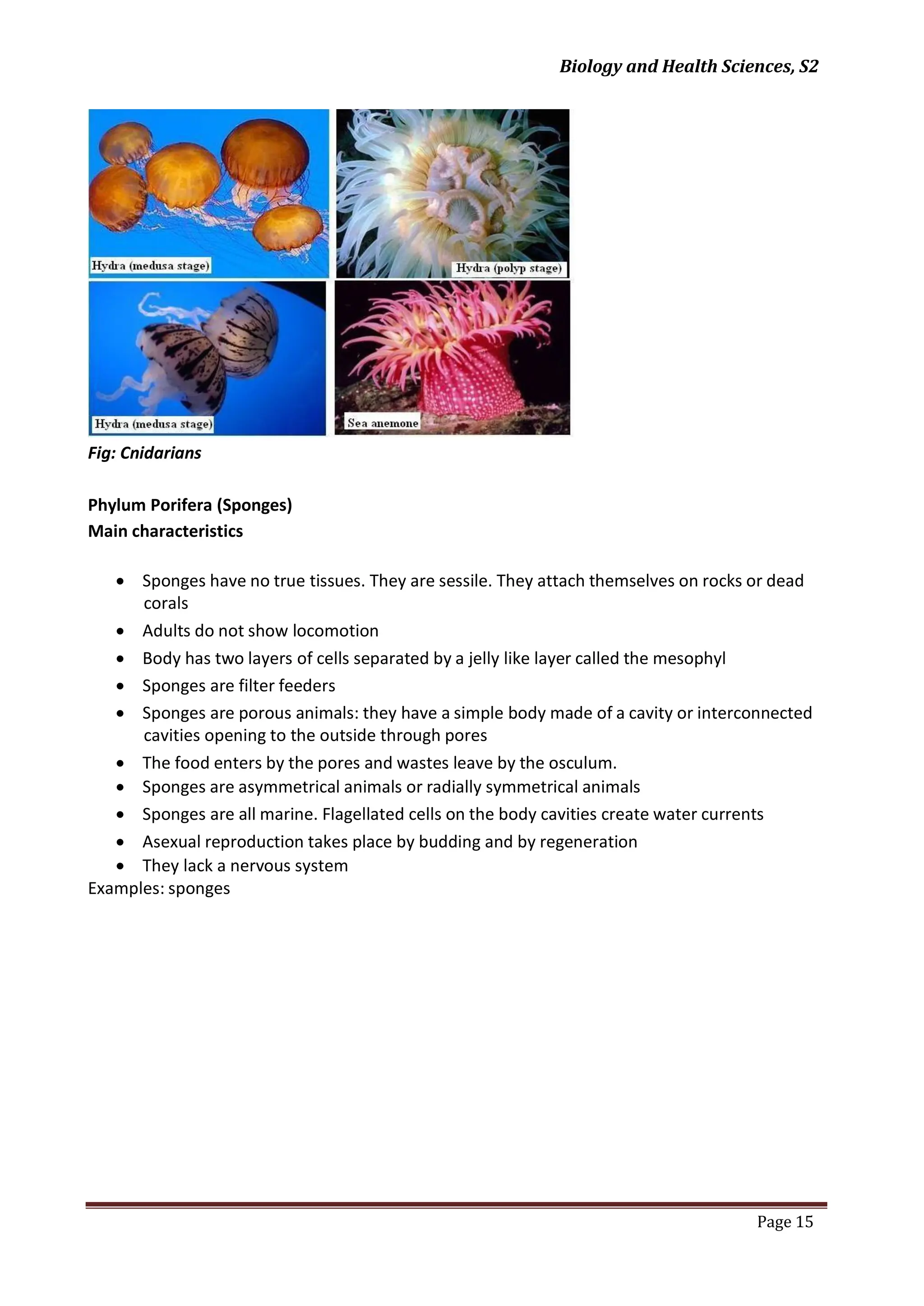 S 2 BIOLOGY NOTES-4.pdf