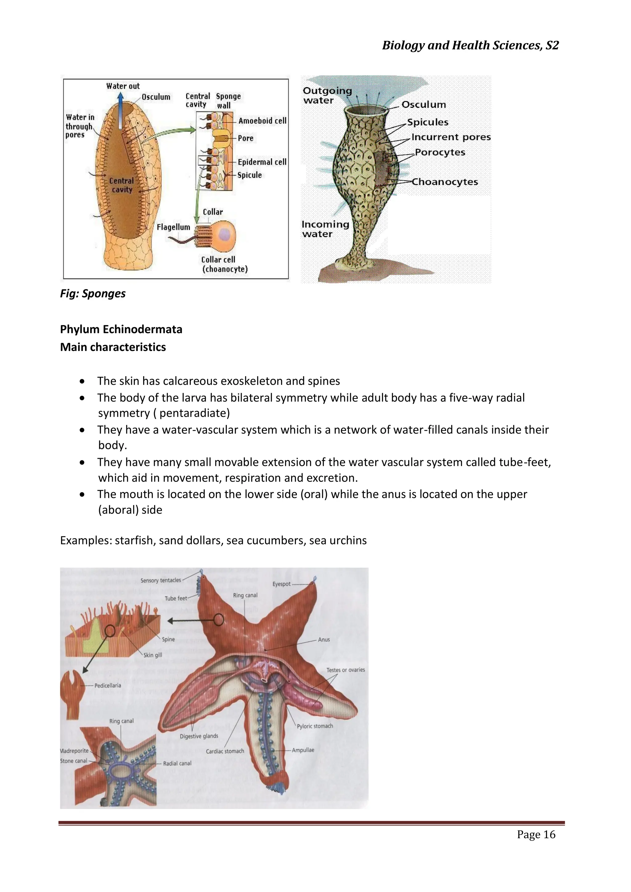 S 2 BIOLOGY NOTES-4.pdf