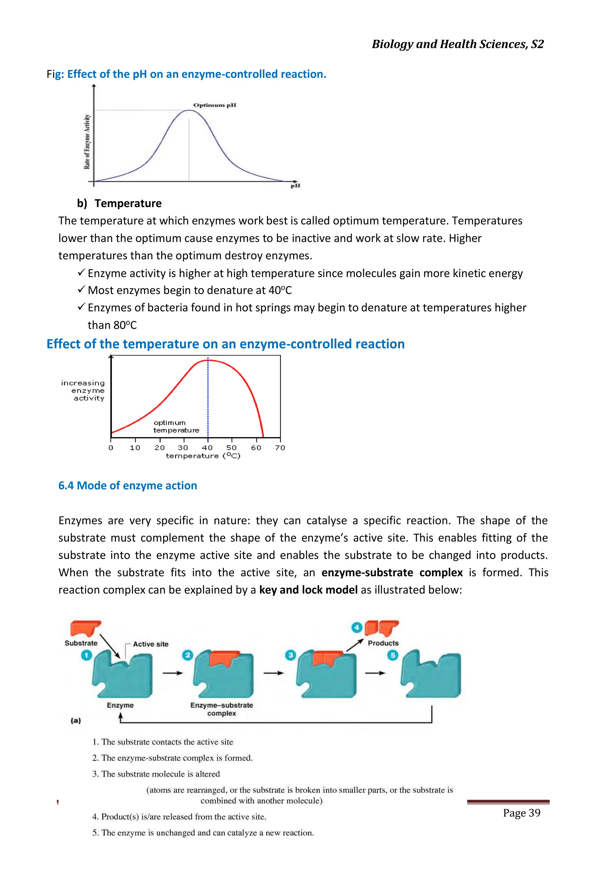 S 2 BIOLOGY NOTES-4.pdf