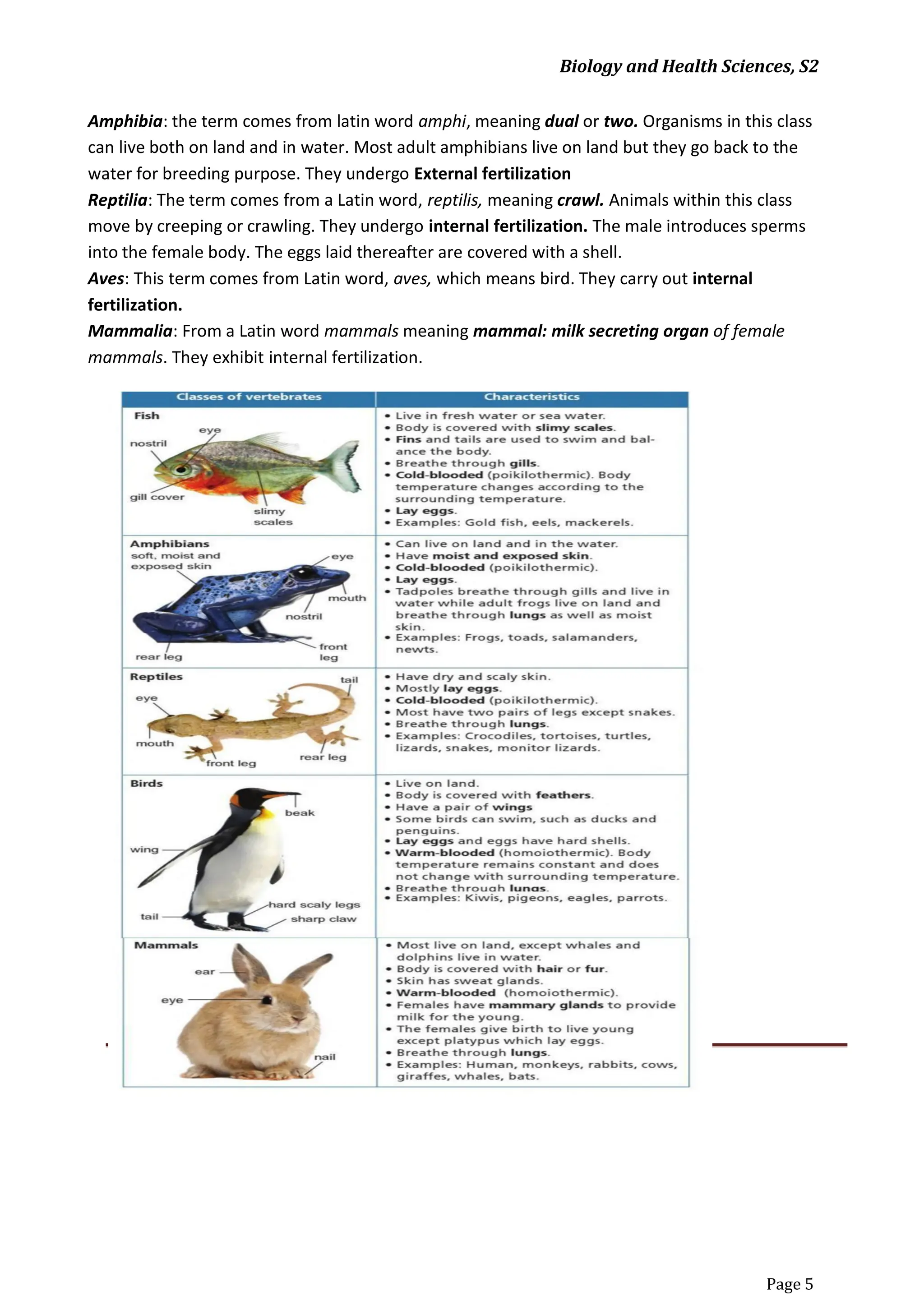 S 2 BIOLOGY NOTES-4.pdf