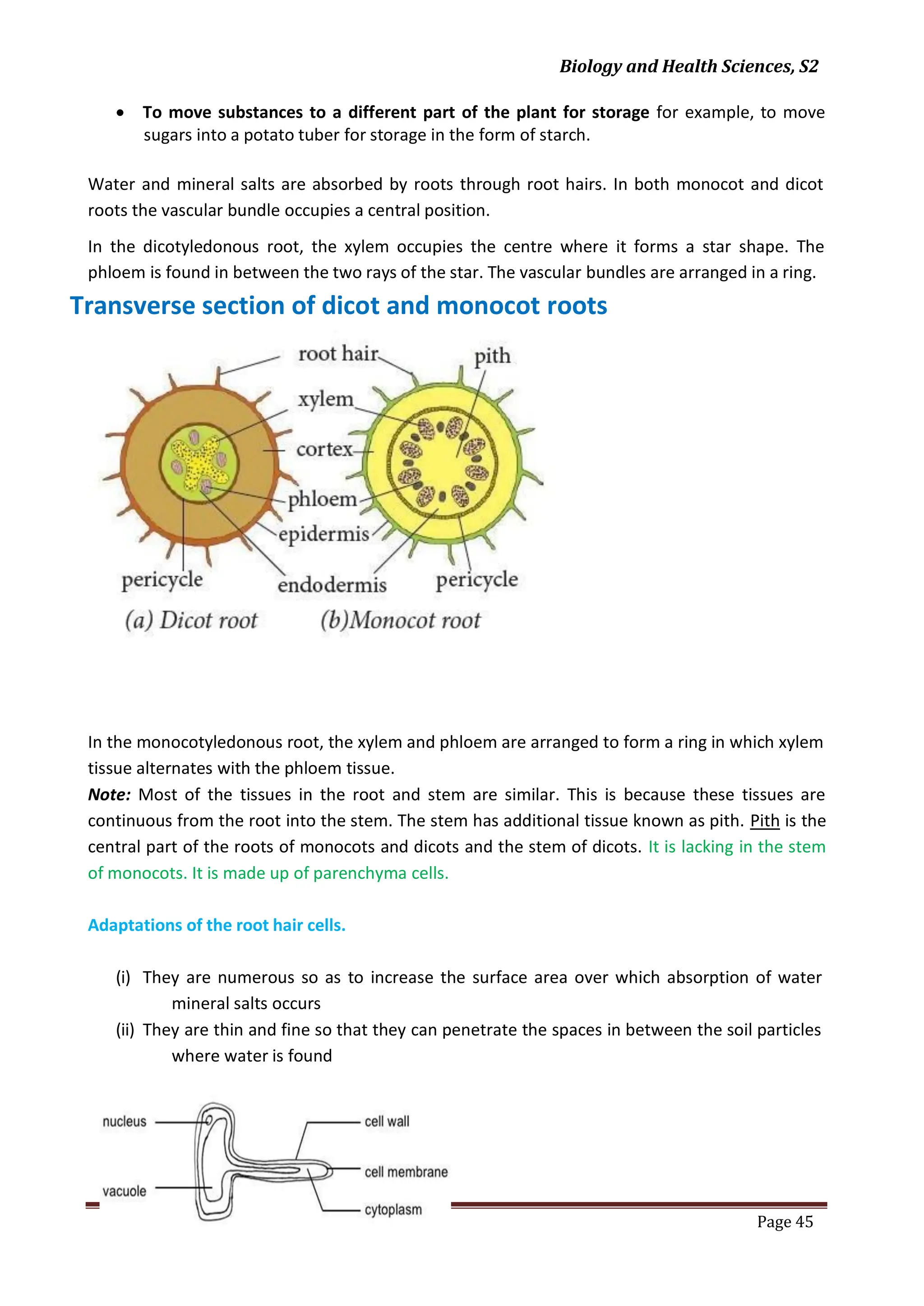 S 2 BIOLOGY NOTES-4.pdf