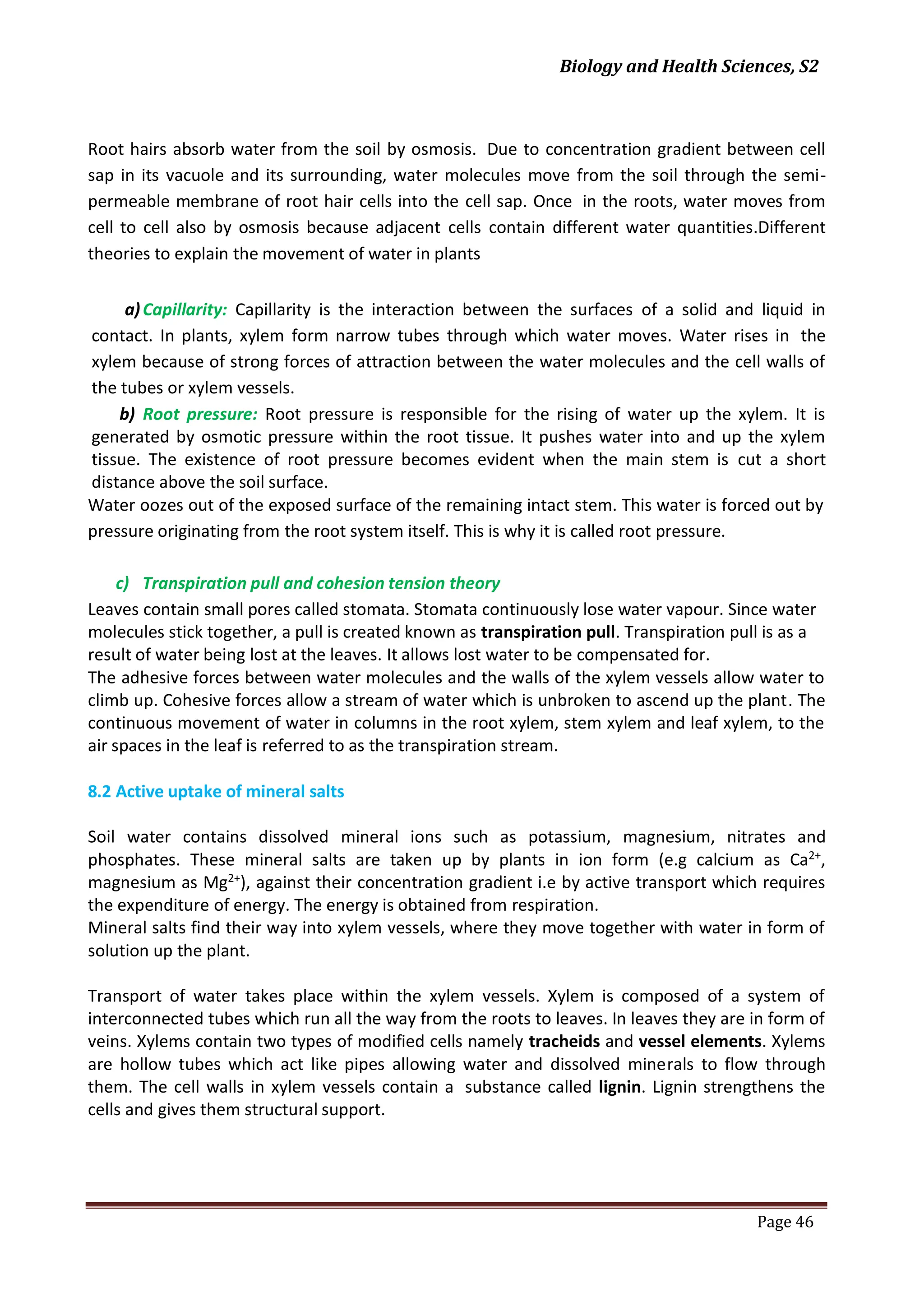 S 2 BIOLOGY NOTES-4.pdf