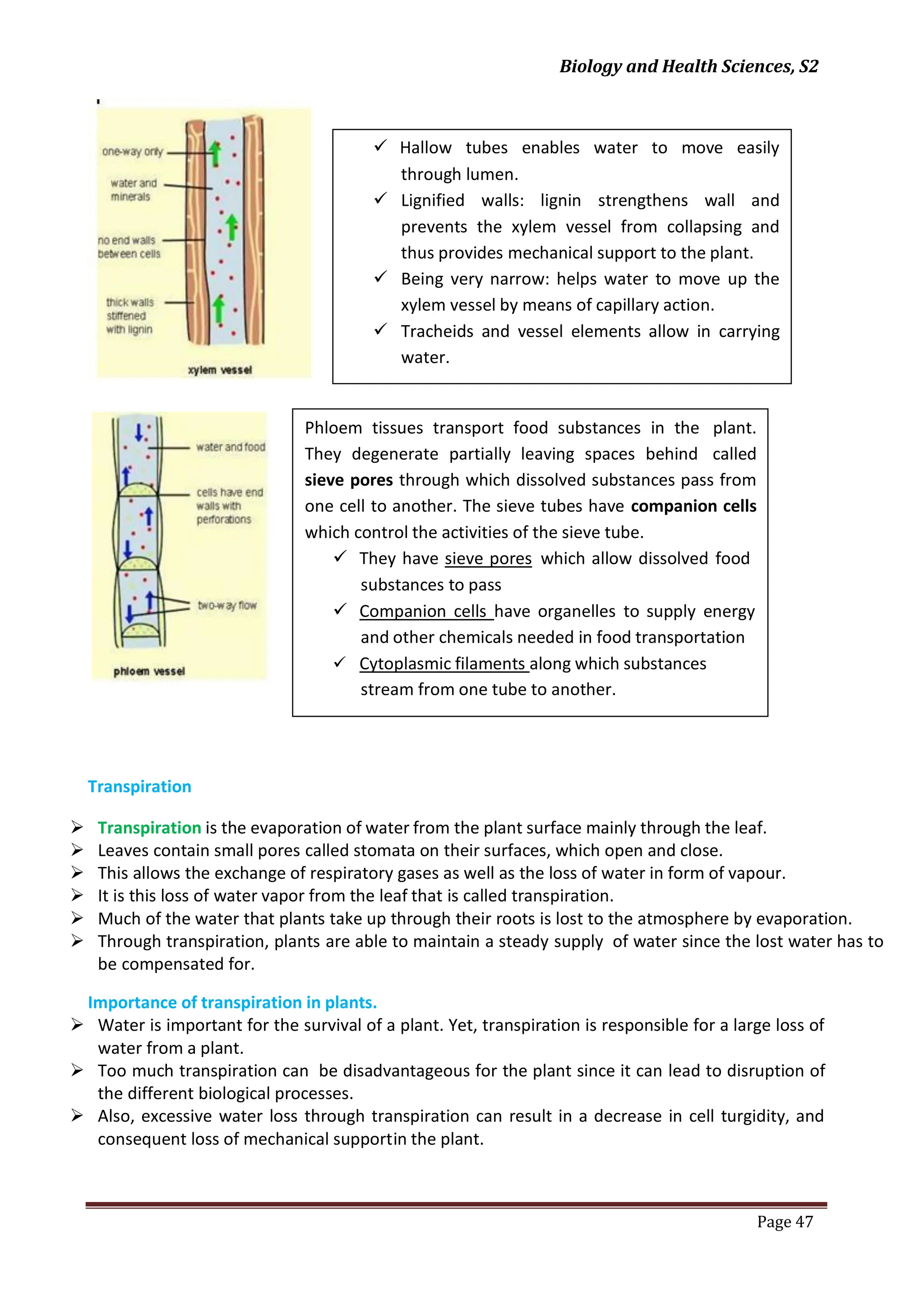 S 2 BIOLOGY NOTES-4.pdf