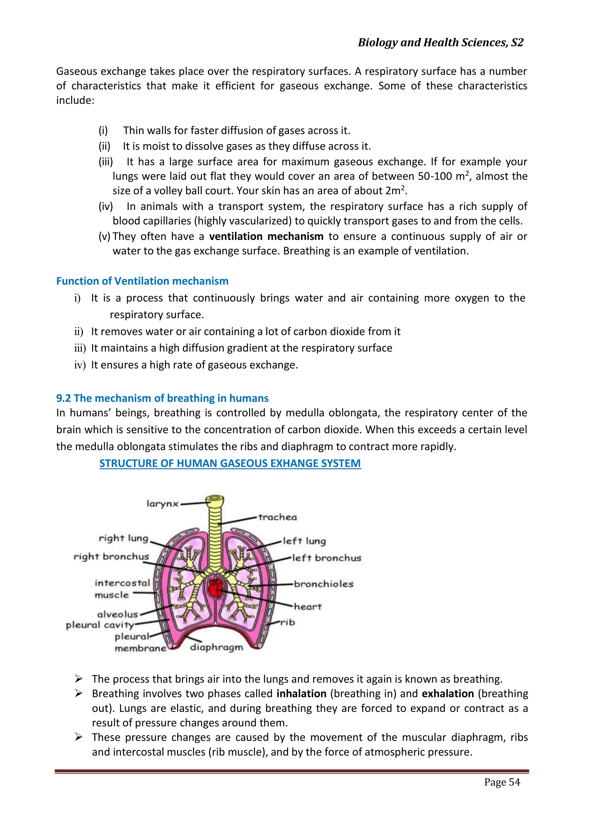 S 2 BIOLOGY NOTES-4.pdf