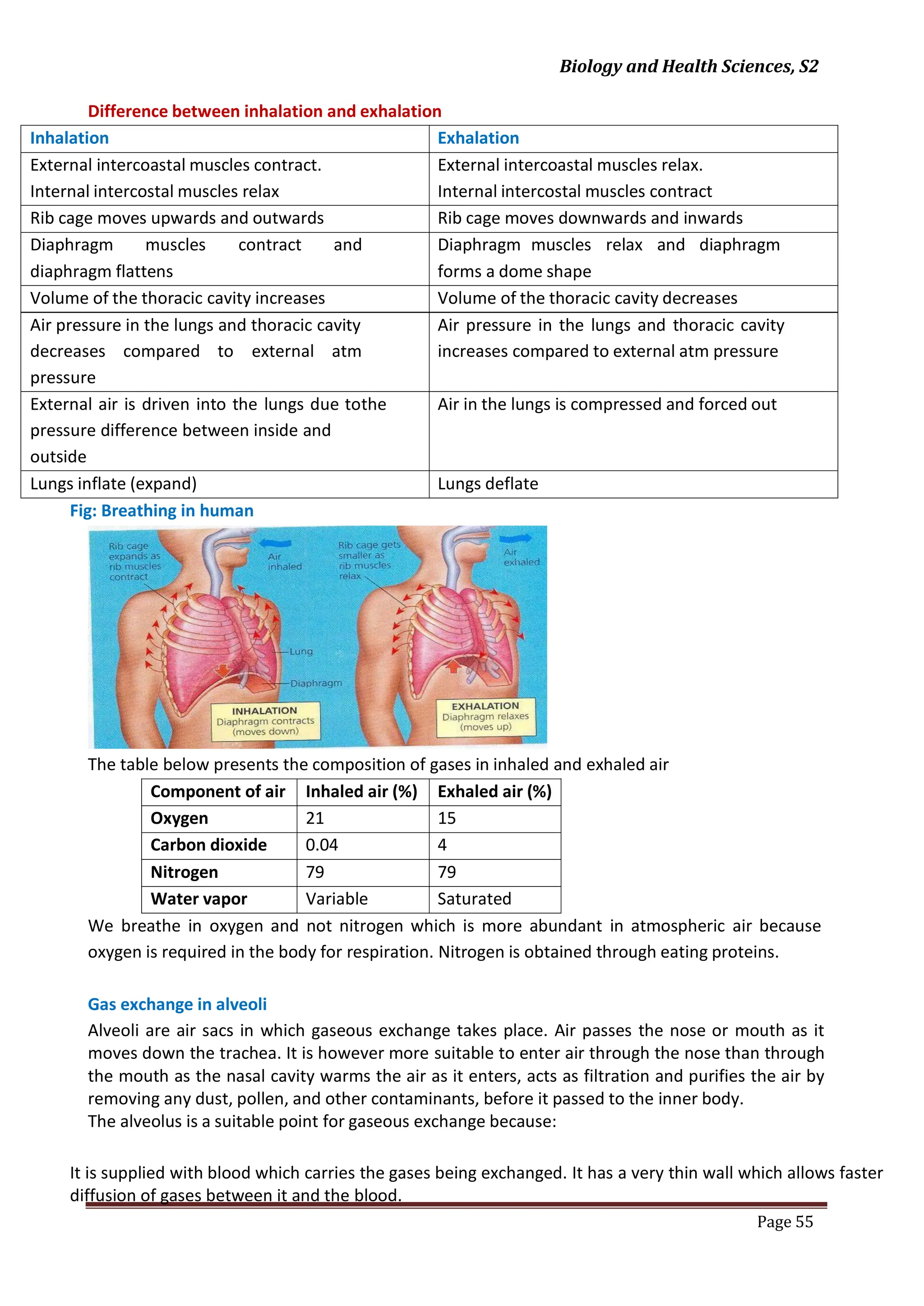 S 2 BIOLOGY NOTES-4.pdf
