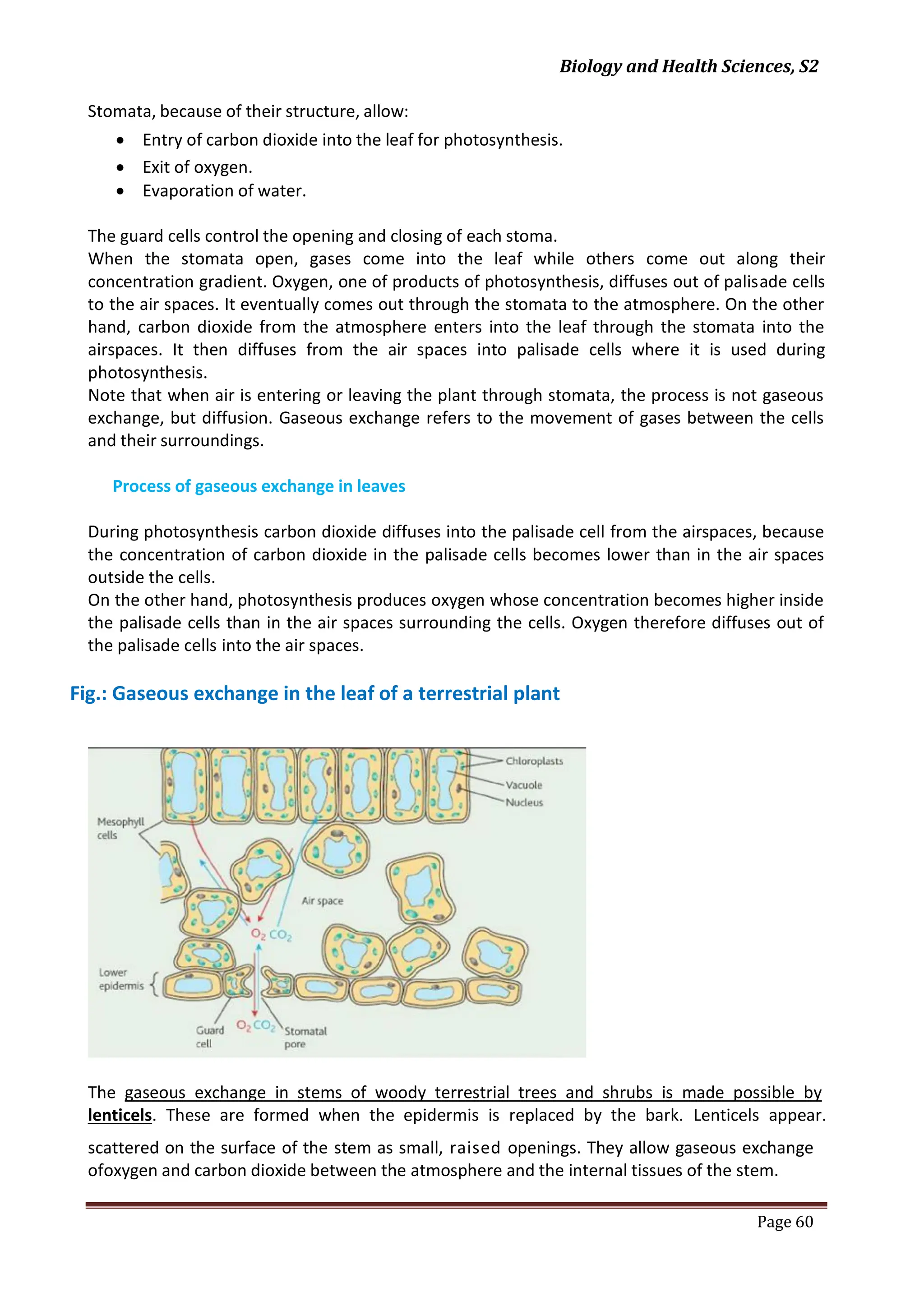 S 2 BIOLOGY NOTES-4.pdf
