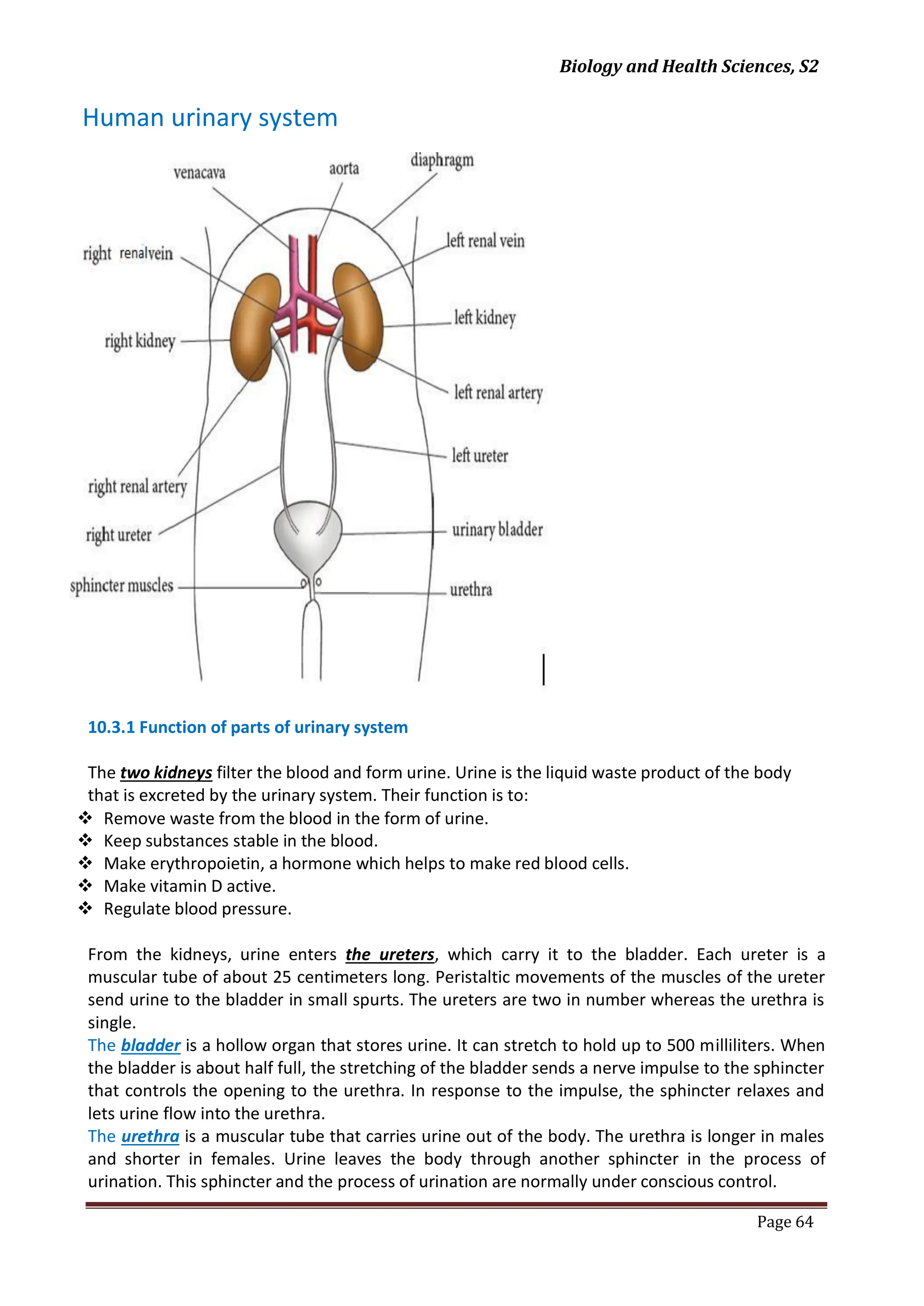 S 2 BIOLOGY NOTES-4.pdf