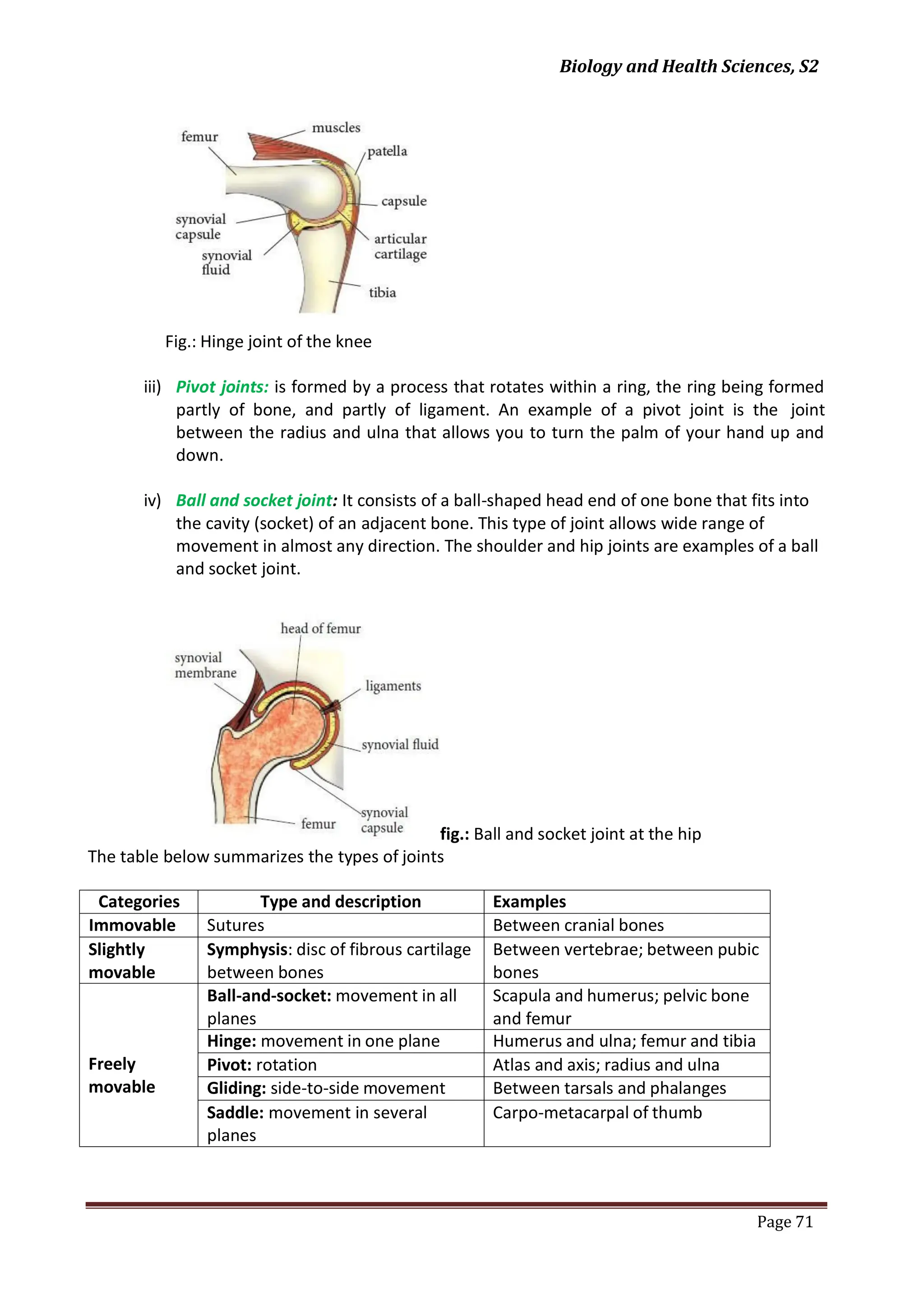 S 2 BIOLOGY NOTES-4.pdf