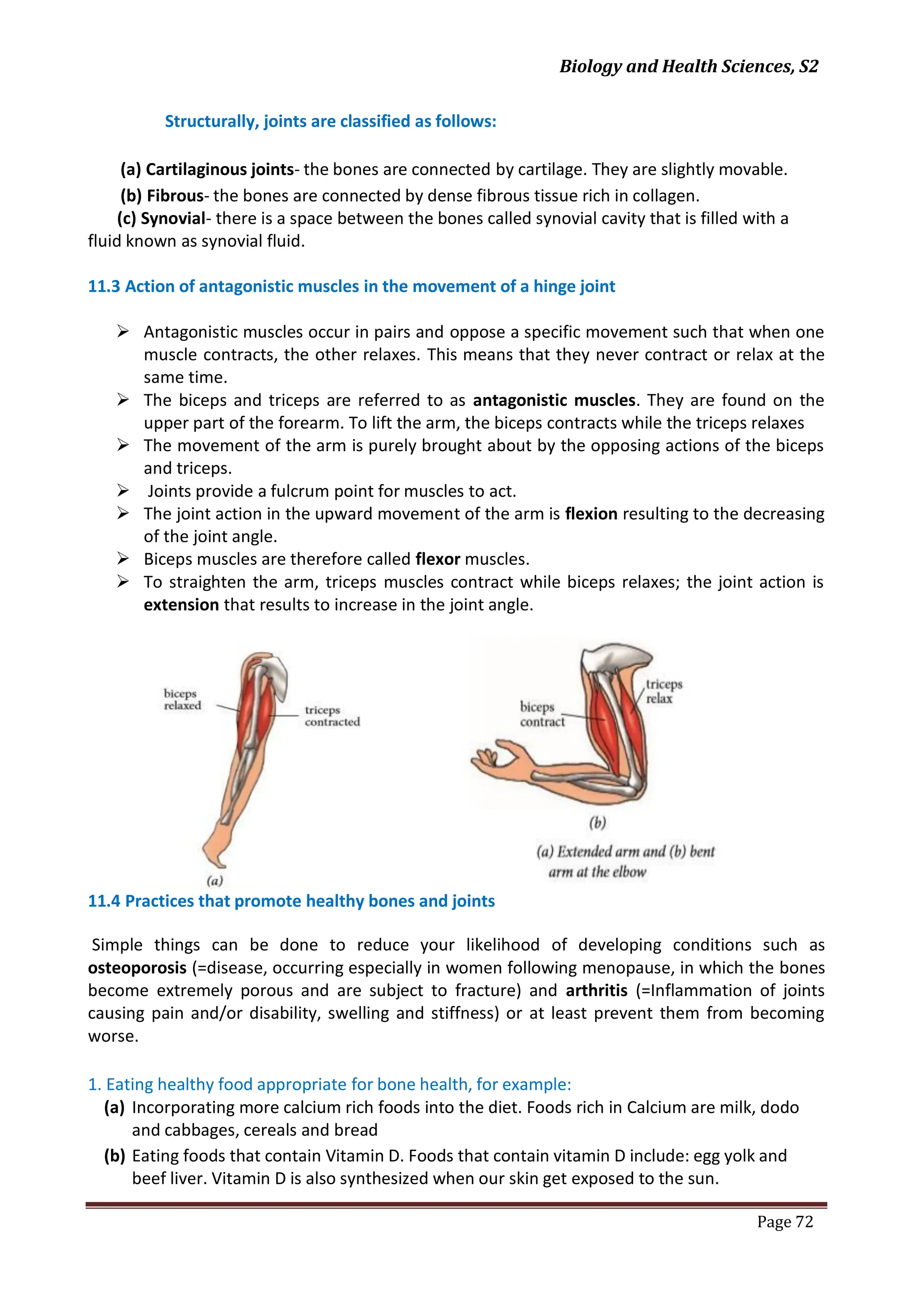 S 2 BIOLOGY NOTES-4.pdf