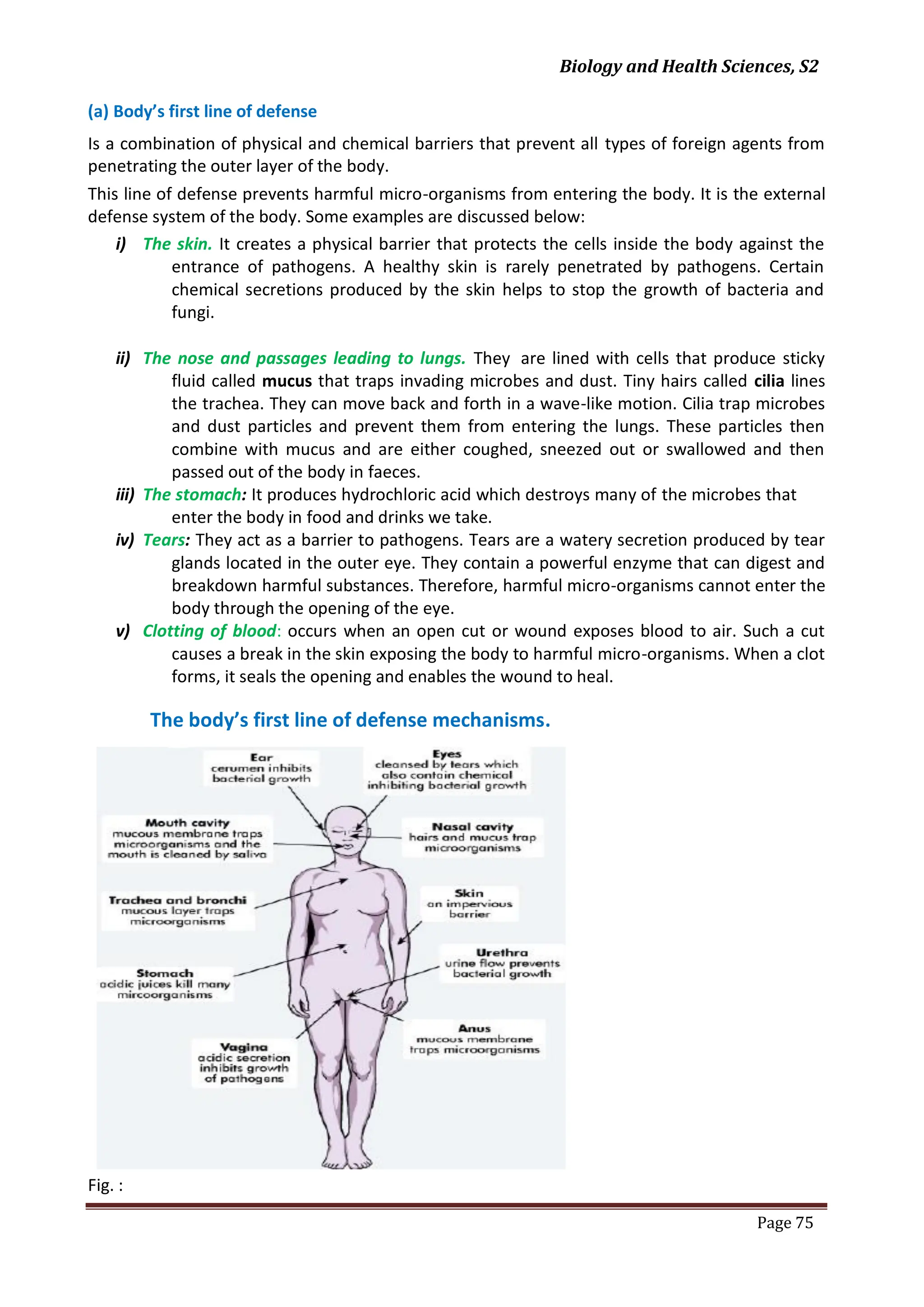 S 2 BIOLOGY NOTES-4.pdf