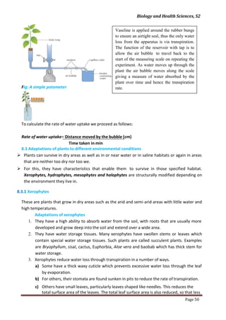 S 2 BIOLOGY NOTES-4.pdf