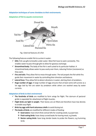 S 2 BIOLOGY NOTES-4.pdf