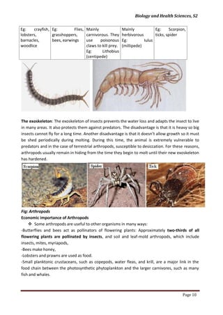 S 2 BIOLOGY NOTES-4.pdf