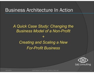 Business Architecture For Non-Profits and Smaller Organizations | PDF