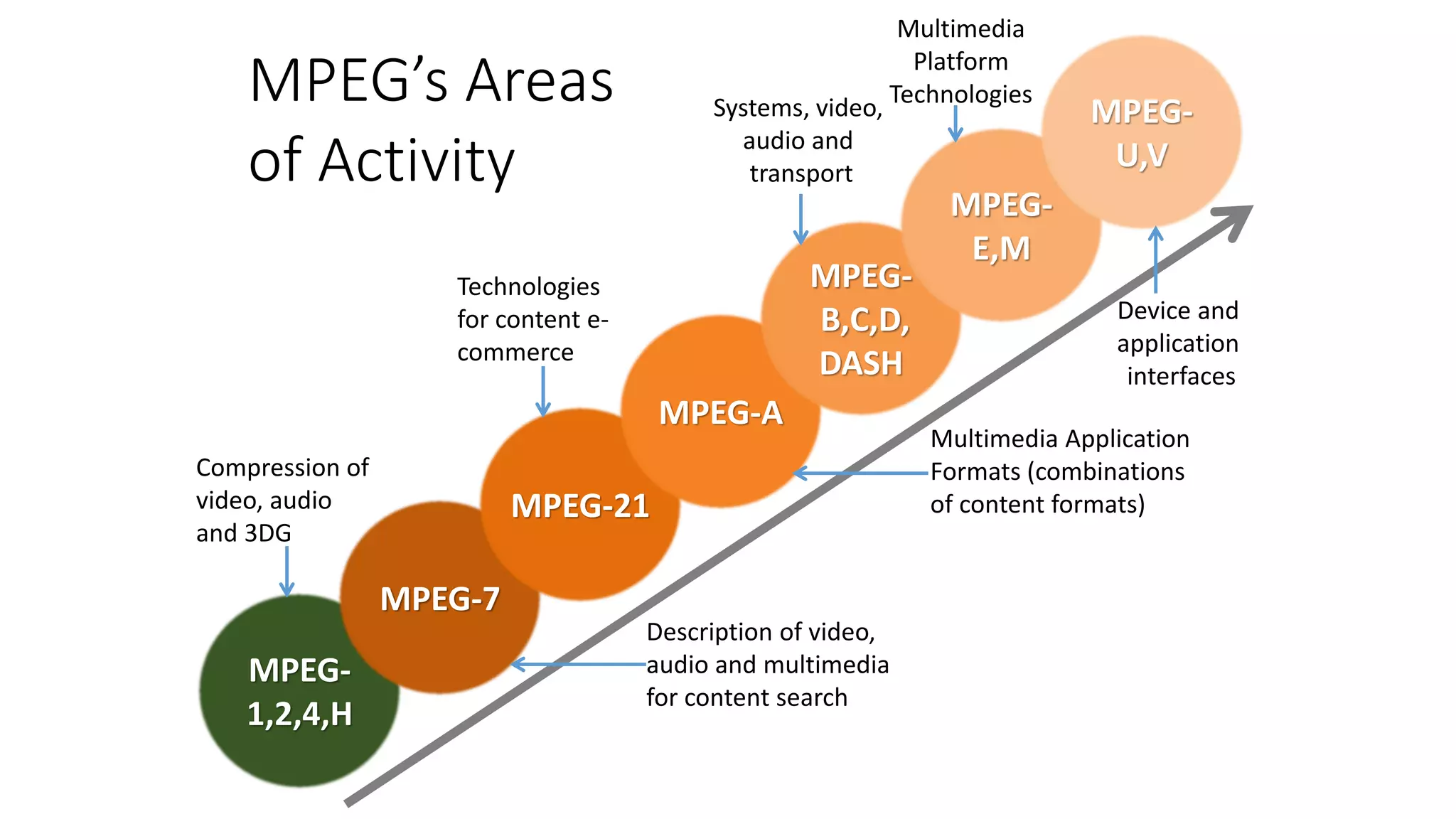 MPEG Immersive Media | PDF