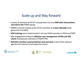 Reflections from the Ethiopia Productive Safety Net Program | PDF