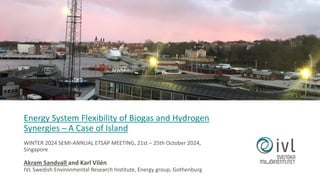 Energy System Flexibility of Biogas and Hydrogen Synergies- a Case of ...