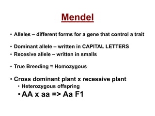 S3 on-farm plant breeding i | PPT