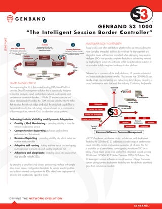 S3 1000 Datasheet | PDF