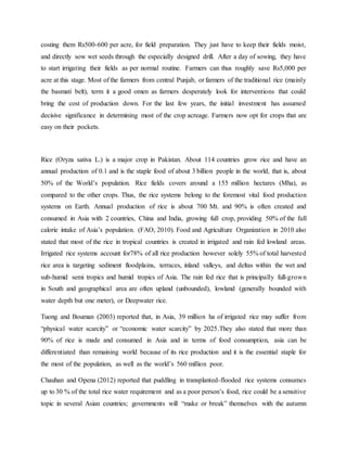 Full synopsis on rice in agriculture | DOCX