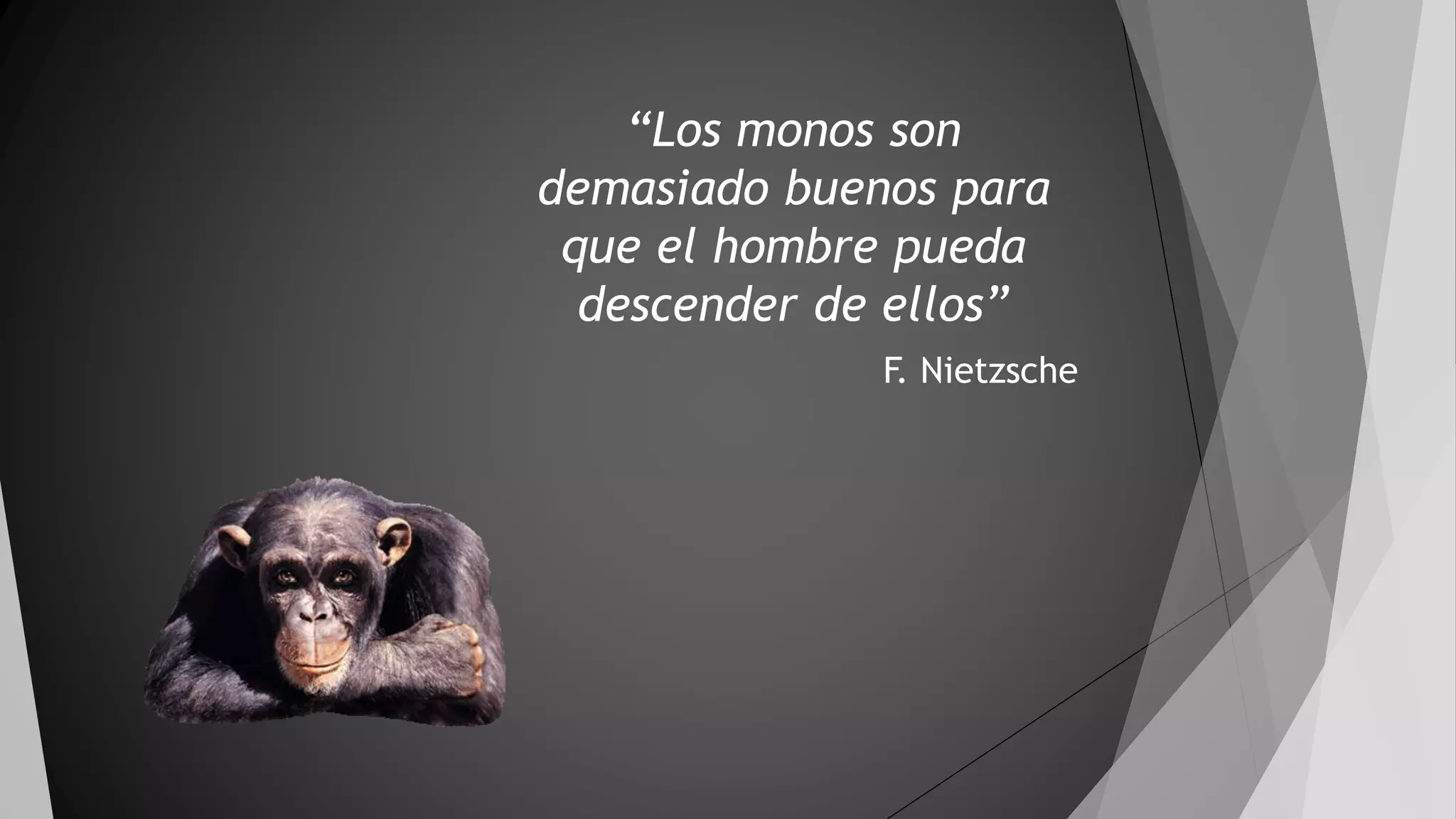 S3 anatomia comparada | PPT